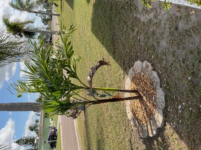 Listing - 714 Augusta Drive, Sun City Center FL 33573